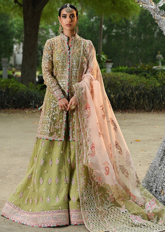 Buy Latest Pakistani Sharara Suit - Wedding Sharara Suits - Empress ...